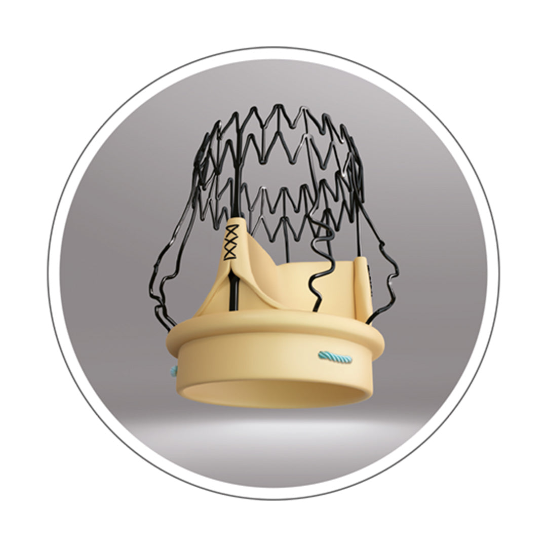 Cardiac Valve Prosthesis – Arquimed